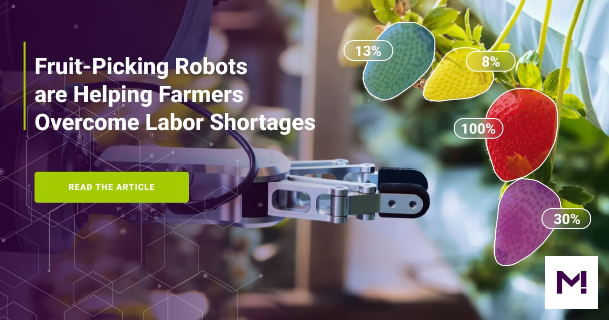 Fruit-Picking Robots: Solving Farmer Labor Shortages